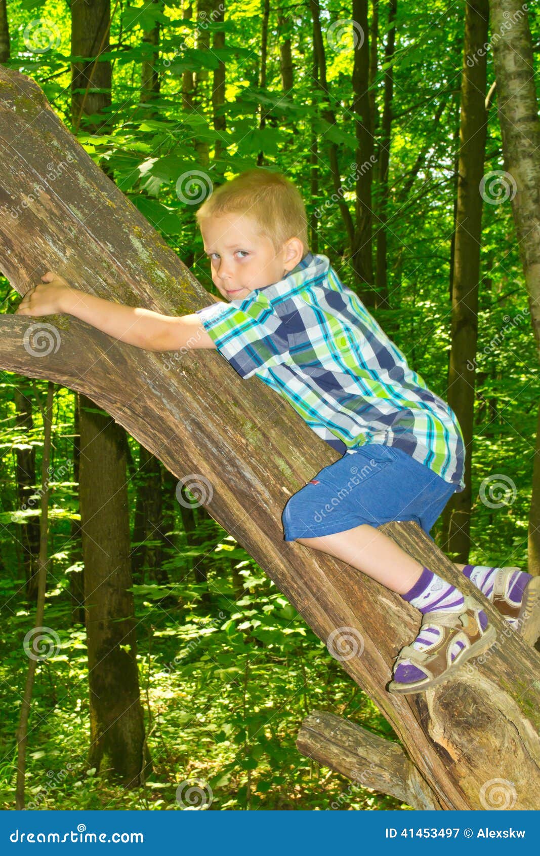 Boy sitting by a tree stock image. Image of holiday, busily - 41453497
