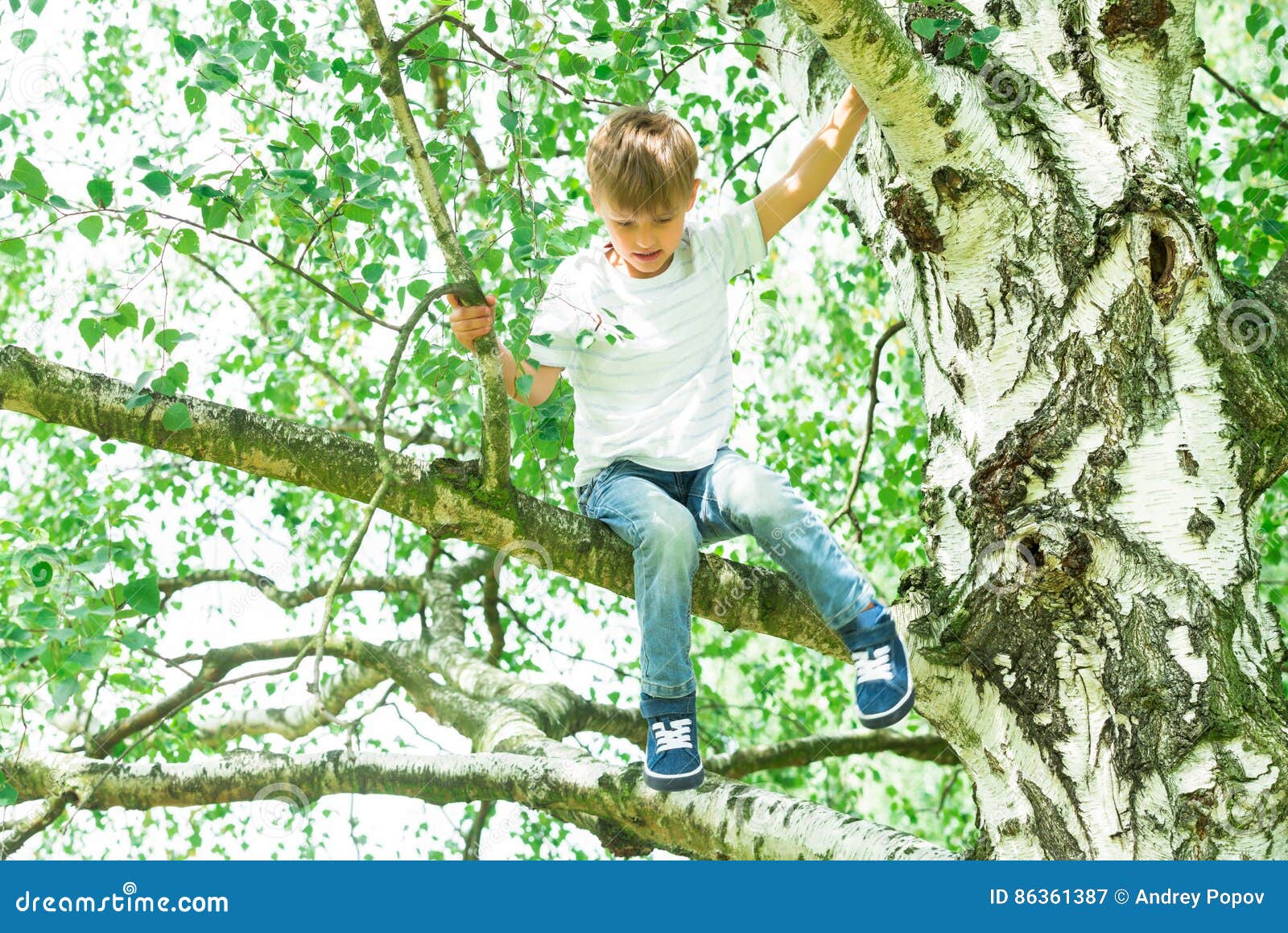 Boy Sitting on Tree stock image. Image of people, challenge - 86361387