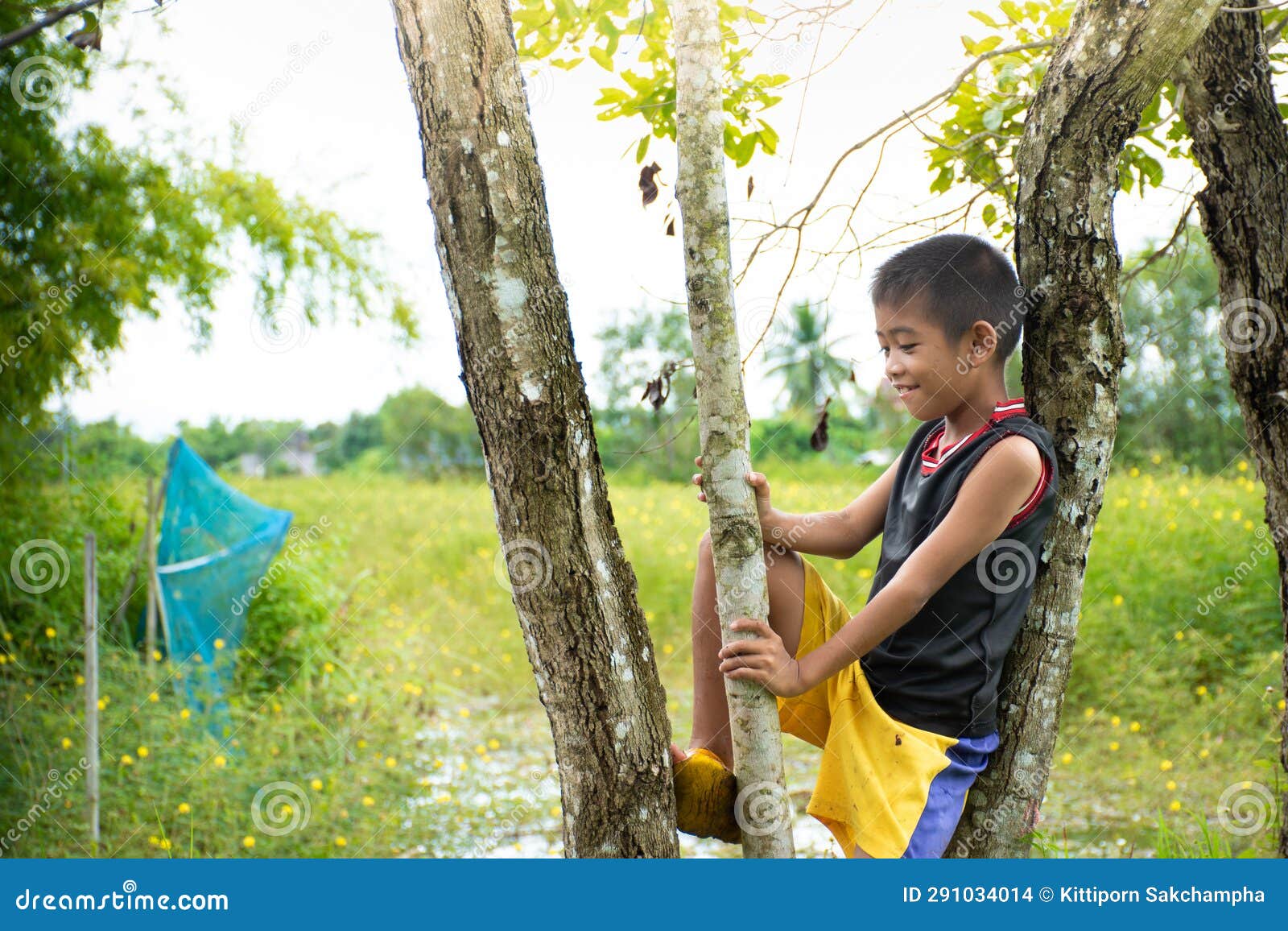 Boy Sitting on Tree Feeling Excited and Challenge, Asian Young Boy with ...