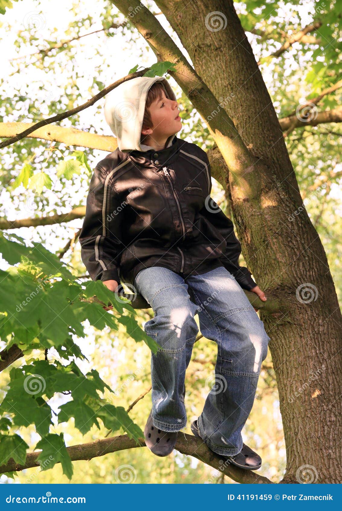 Boy sitting on the tree stock image. Image of little - 41191459