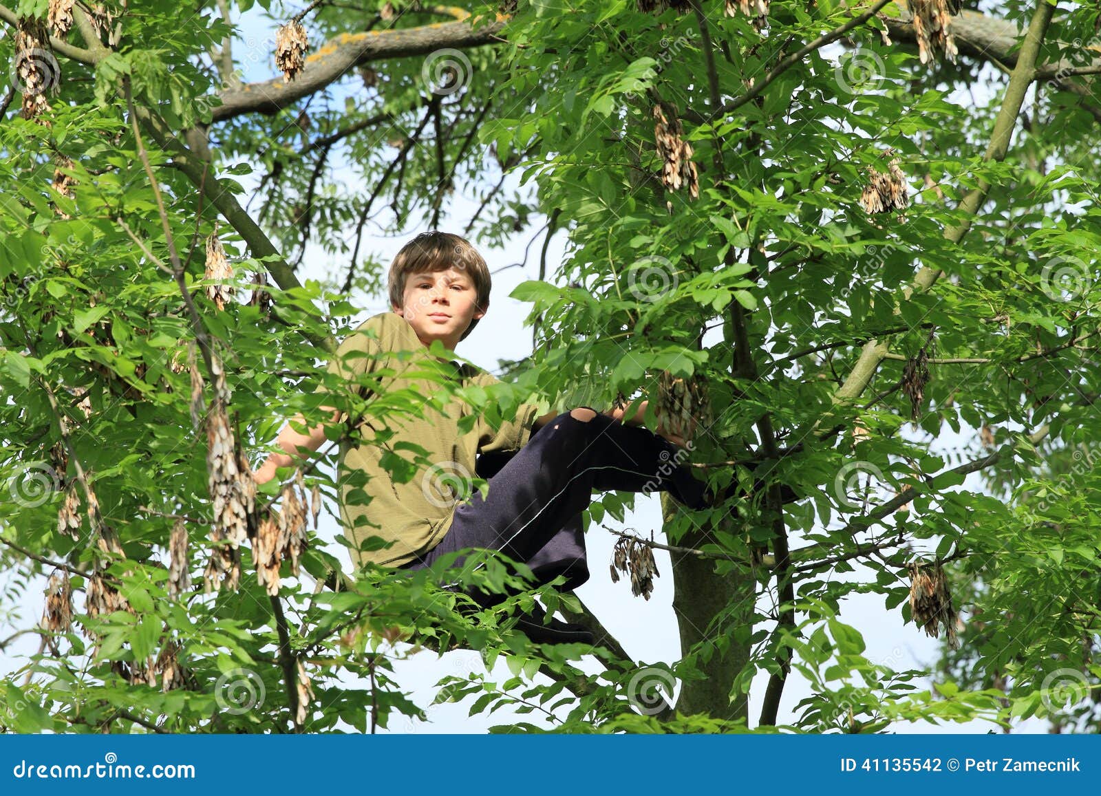 Boy sitting on the tree stock photo. Image of european - 41135542