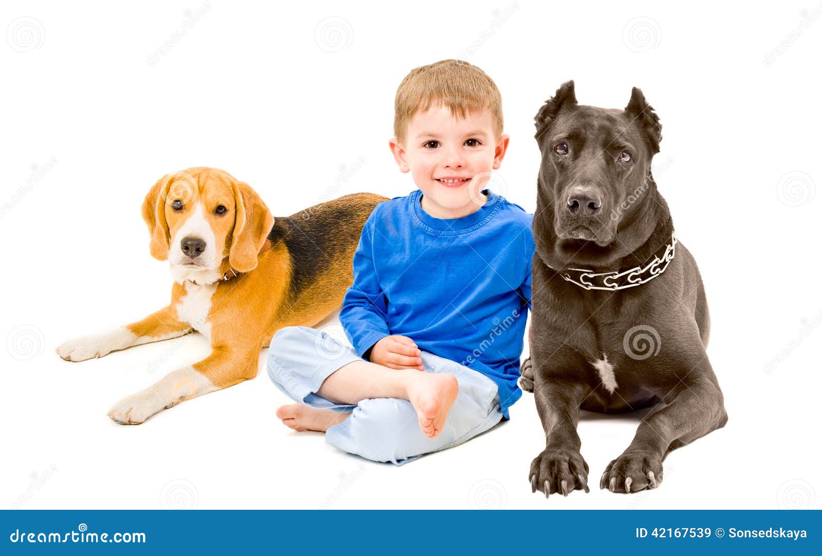 Boy sitting with two dogs stock image. Image of brown - 42167539
