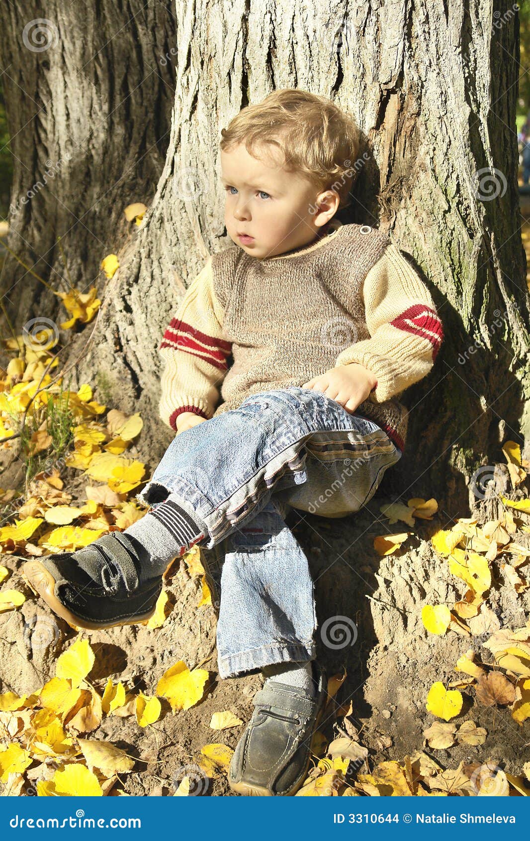 Boy sitting under the tree stock photo. Image of male - 3310644