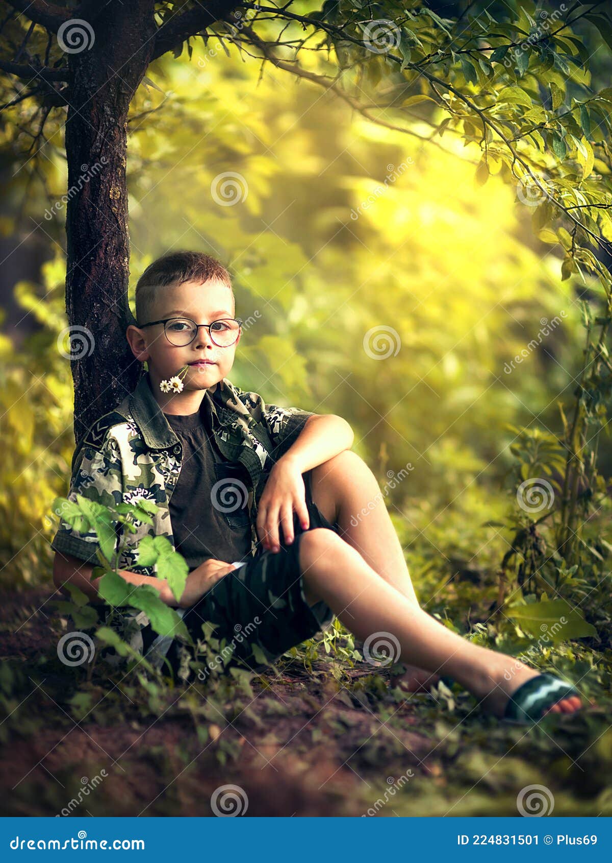 Boy Sitting Under a Tree in the Forest Stock Image - Image of lifestyle ...