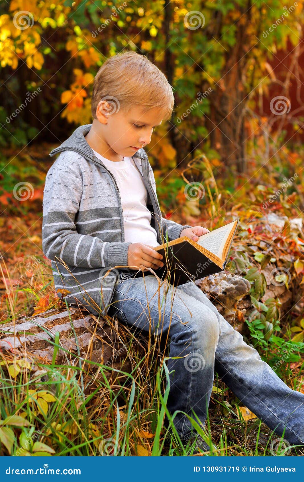 Boy Sitting in the Woods on a Log Stock Image - Image of september ...