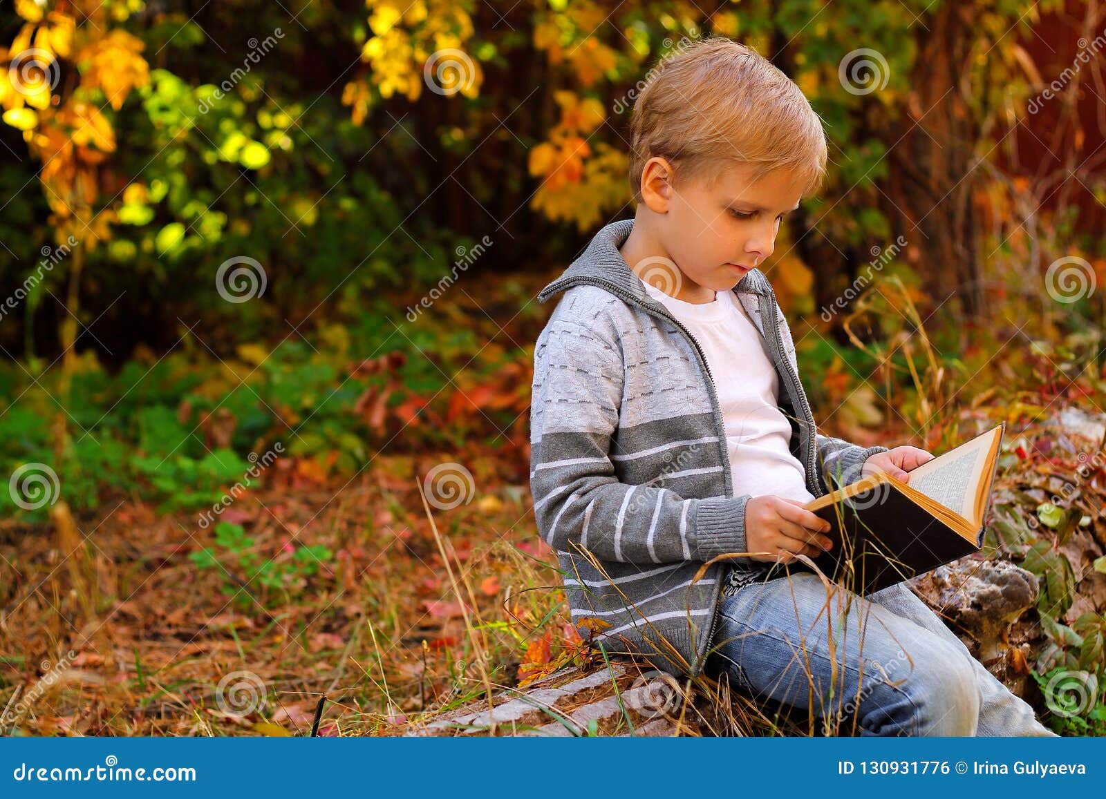 Boy Sitting in the Woods on a Log Stock Photo - Image of beautiful ...