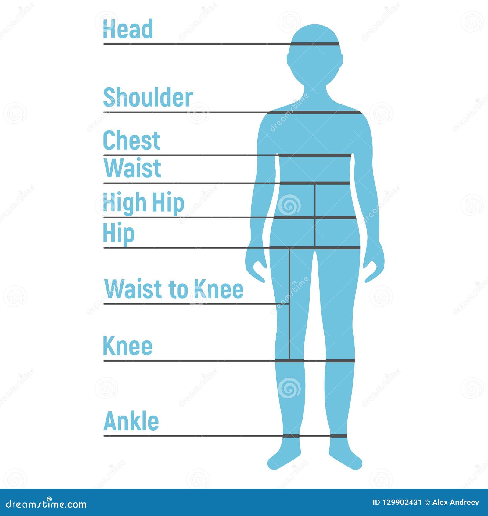 Boy Size Chart. Human Front Side Silhouette Stock Vector - Illustration ...