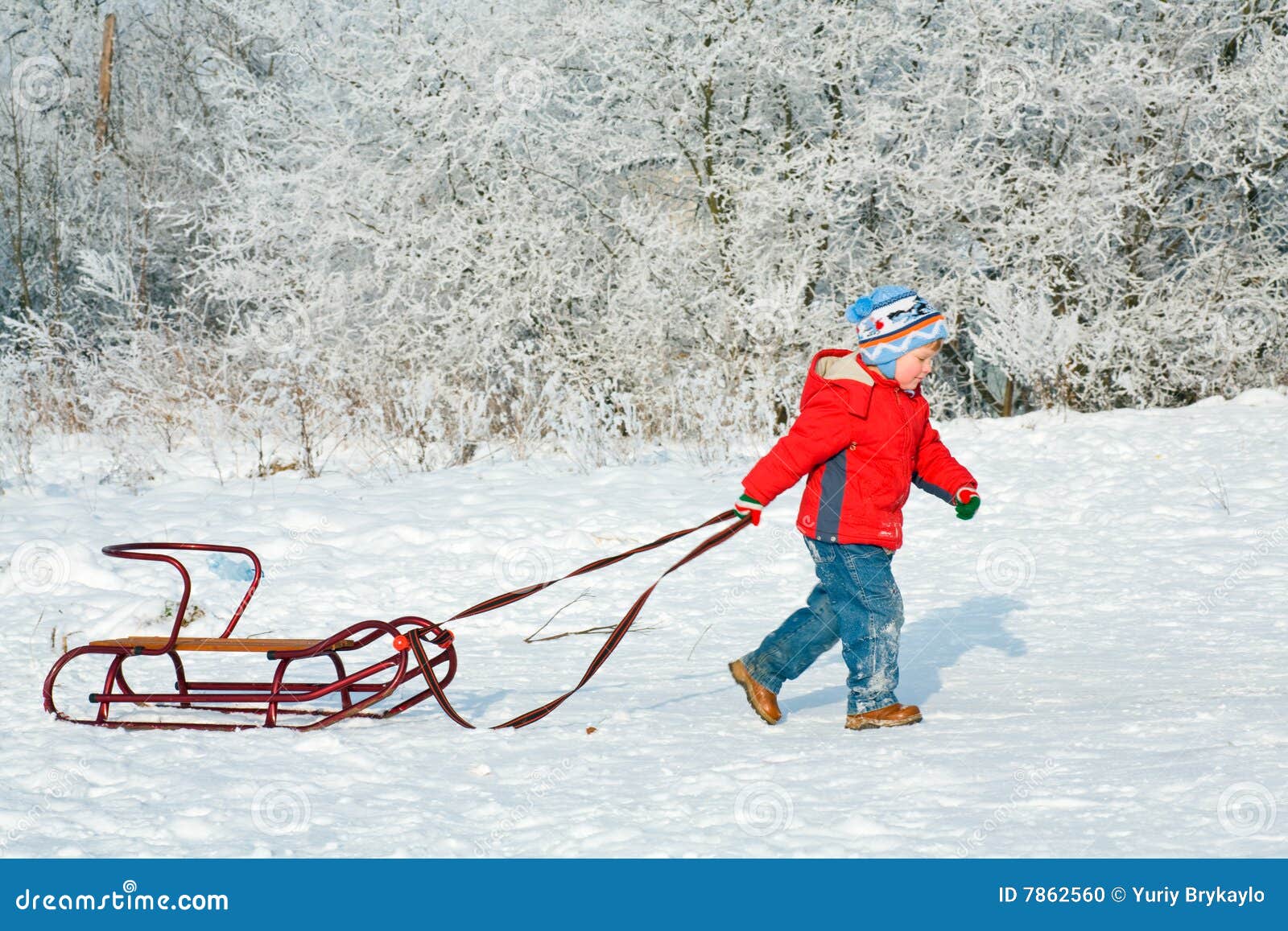 Boy with sled stock photo. Image of play, smile, walk - 7862560