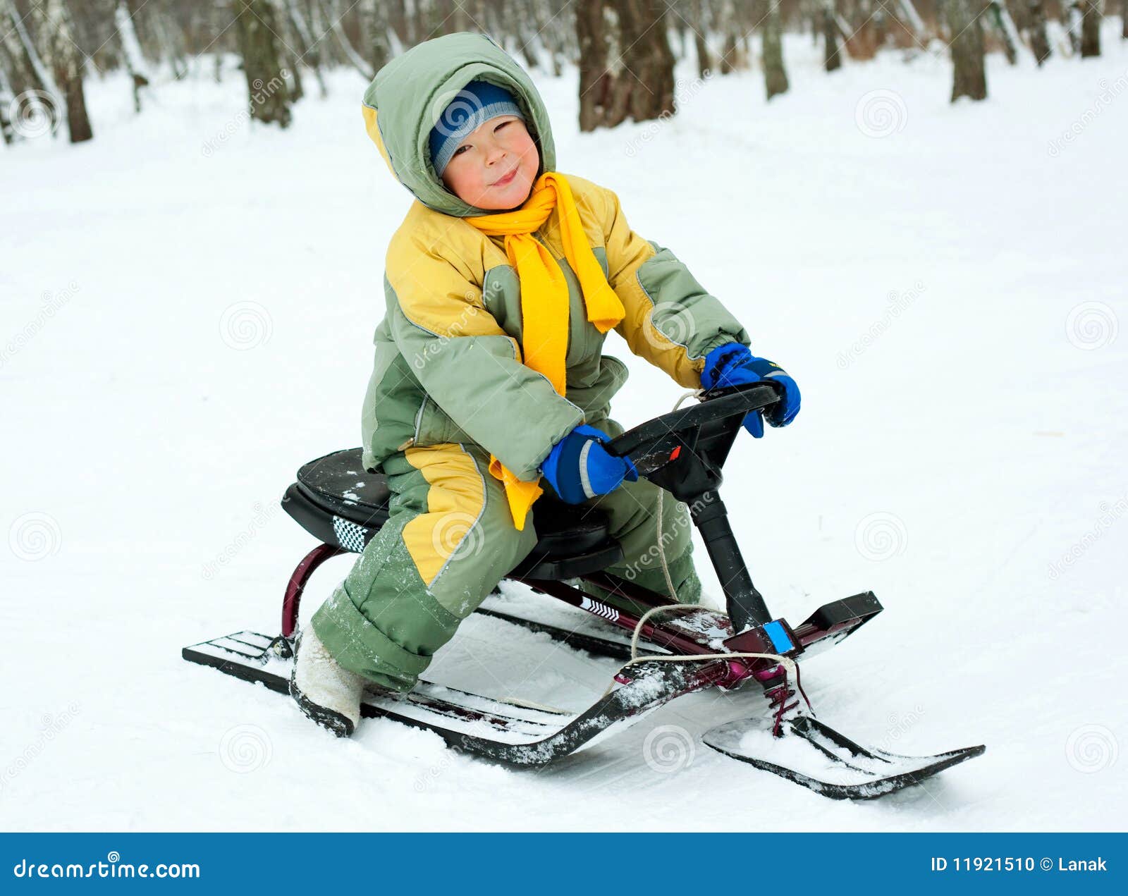 Boy with a sledge stock photo. Image of cold, fast, pleasure - 11921510