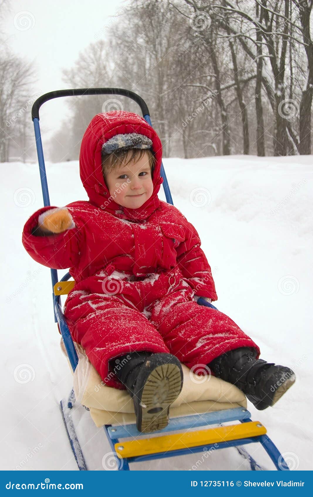 Boy with sledge stock photo. Image of season, activity - 12735116