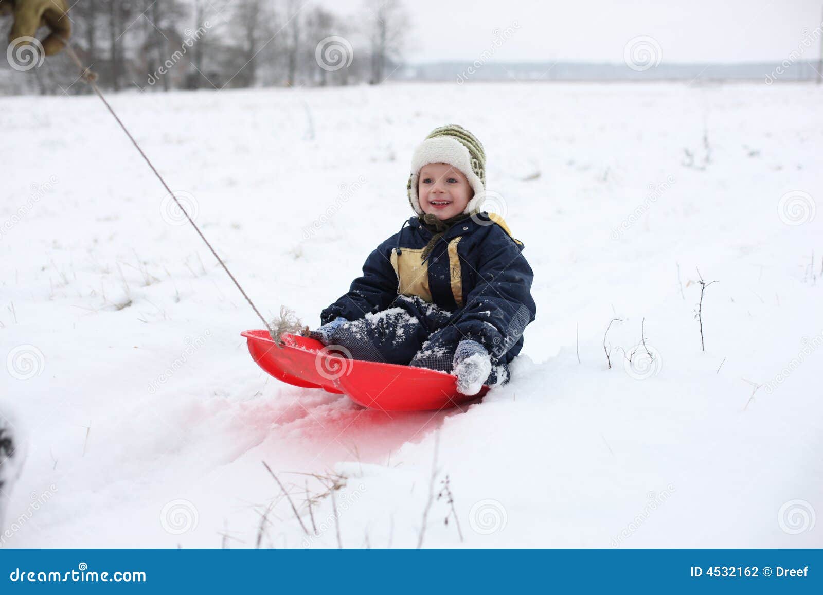 Boy in sledge stock photo. Image of environment, sleigh - 4532162