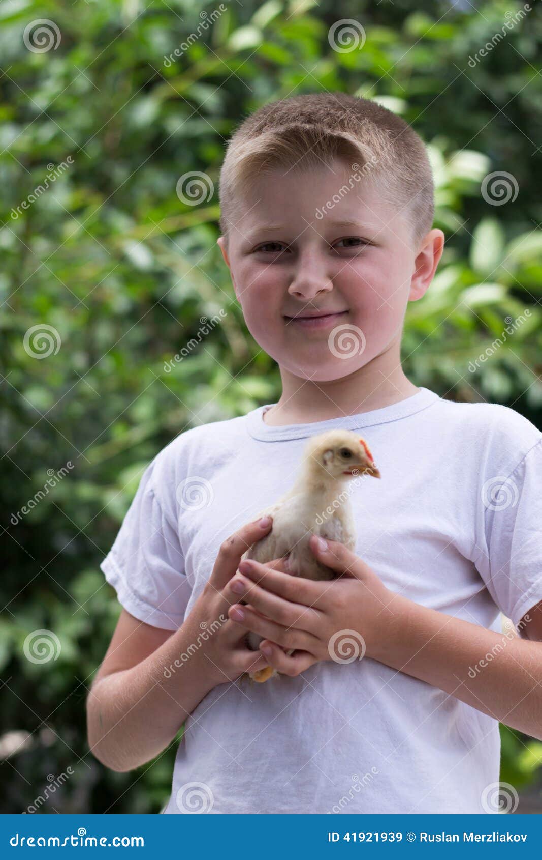 Boy with a small chicken stock image. Image of grass - 41921939