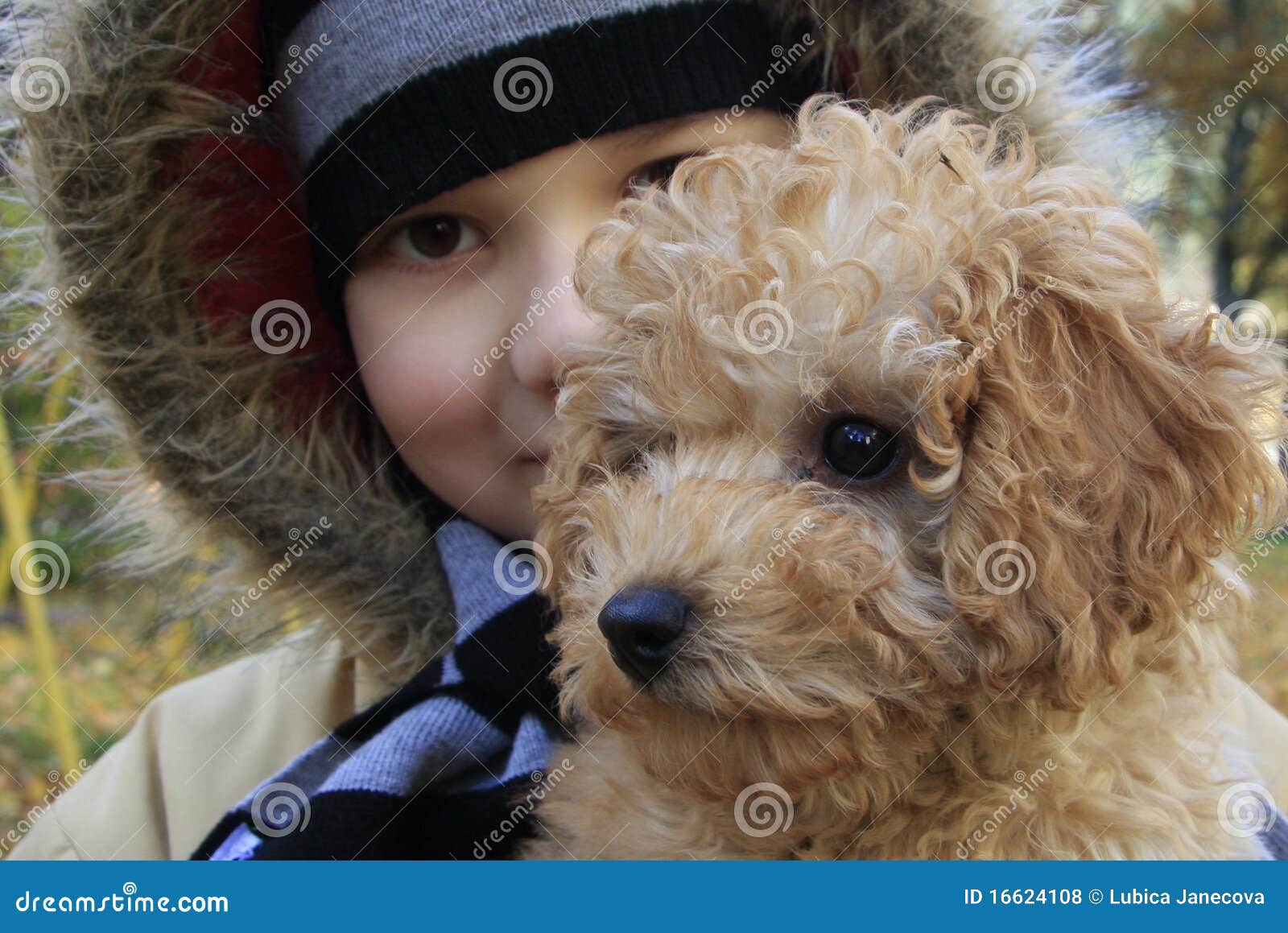 Boy with small dog stock photo. Image of cold, portraits - 16624108