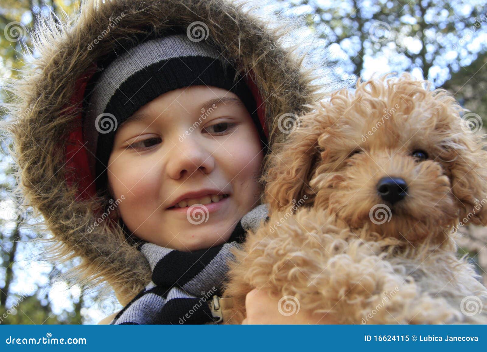 Boy with small dog stock image. Image of pets, child - 16624115