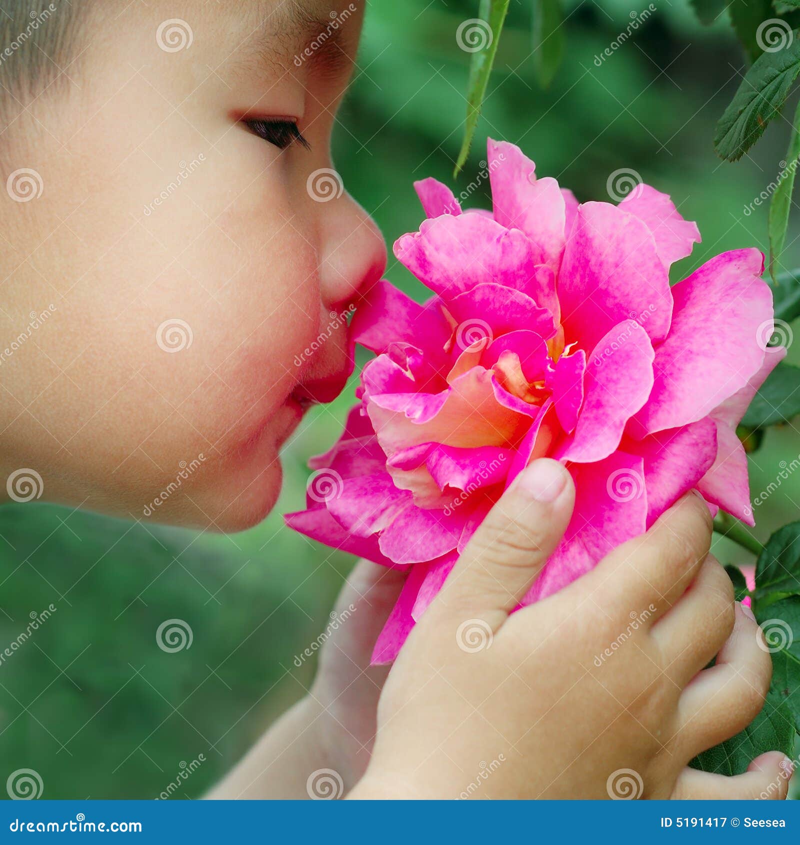 Boy smell flower stock image. Image of target, love, chinese - 5191417