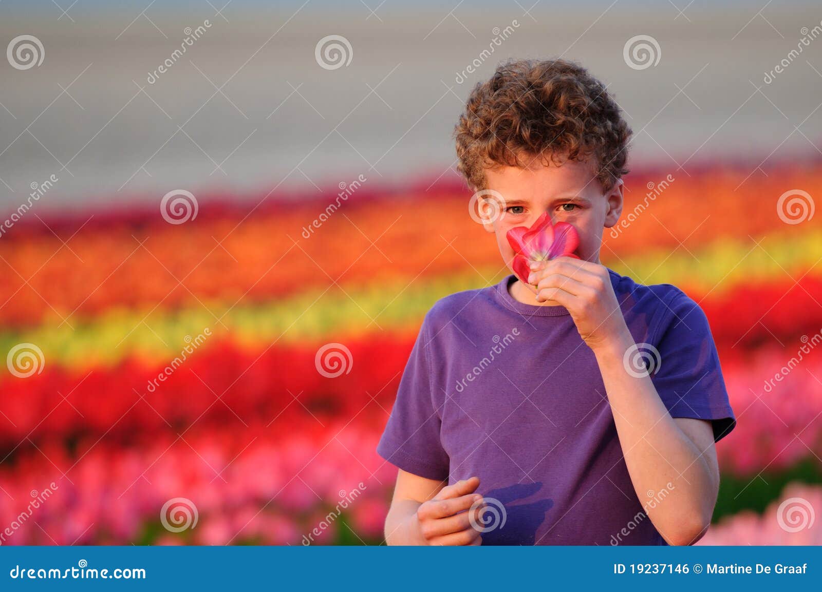 Boy smelling flower stock photo. Image of beautiful, spring - 19237146