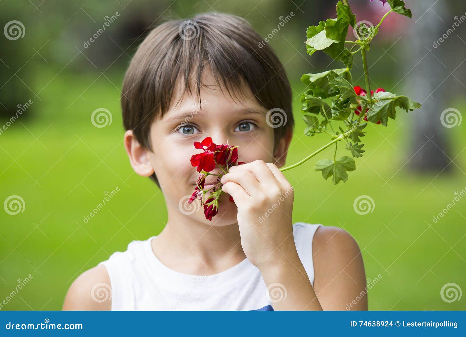 Boy smelling a flower stock photo. Image of smelling - 74638924