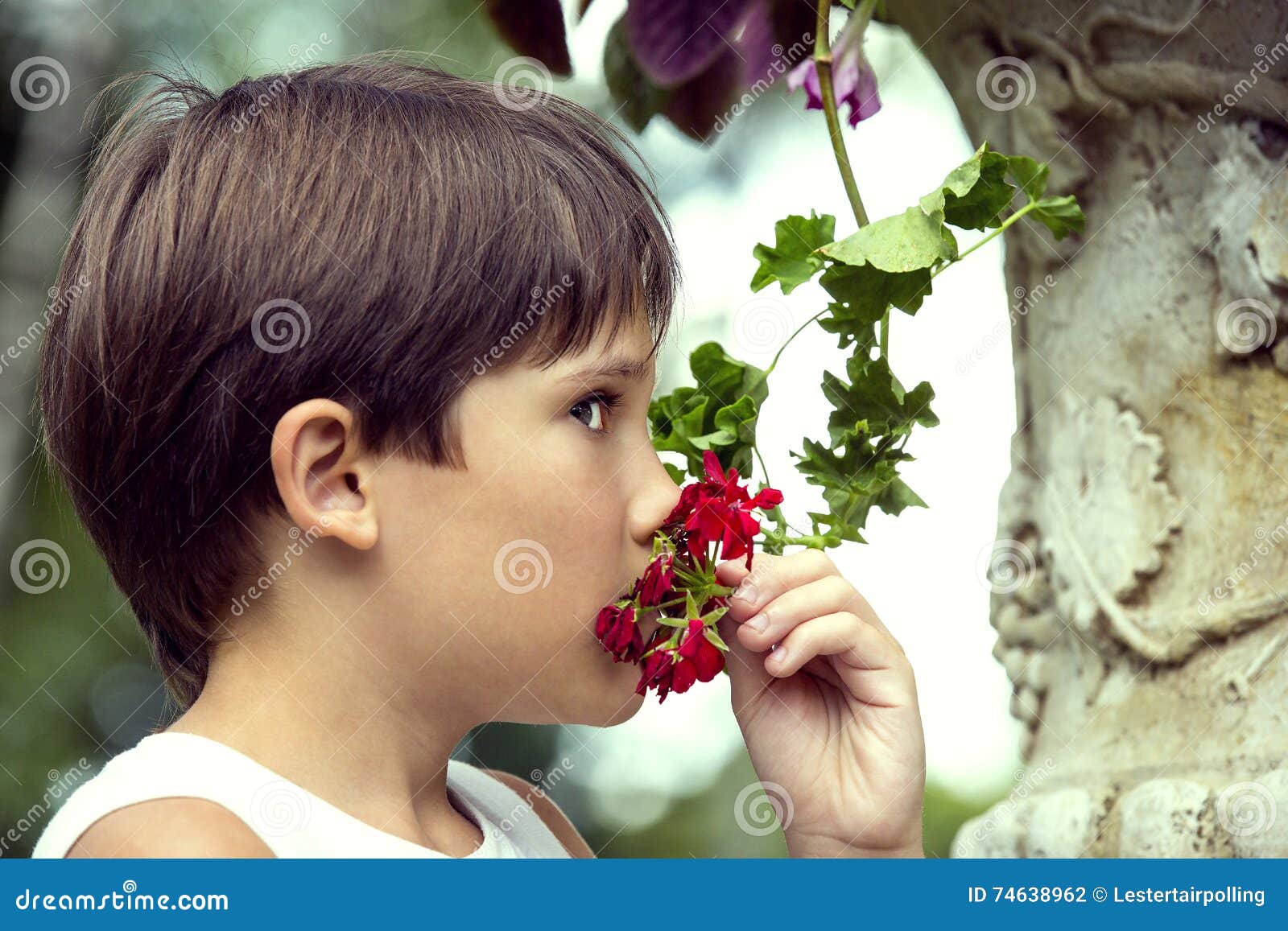 Boy smelling a flower stock photo. Image of young, leaves - 74638962
