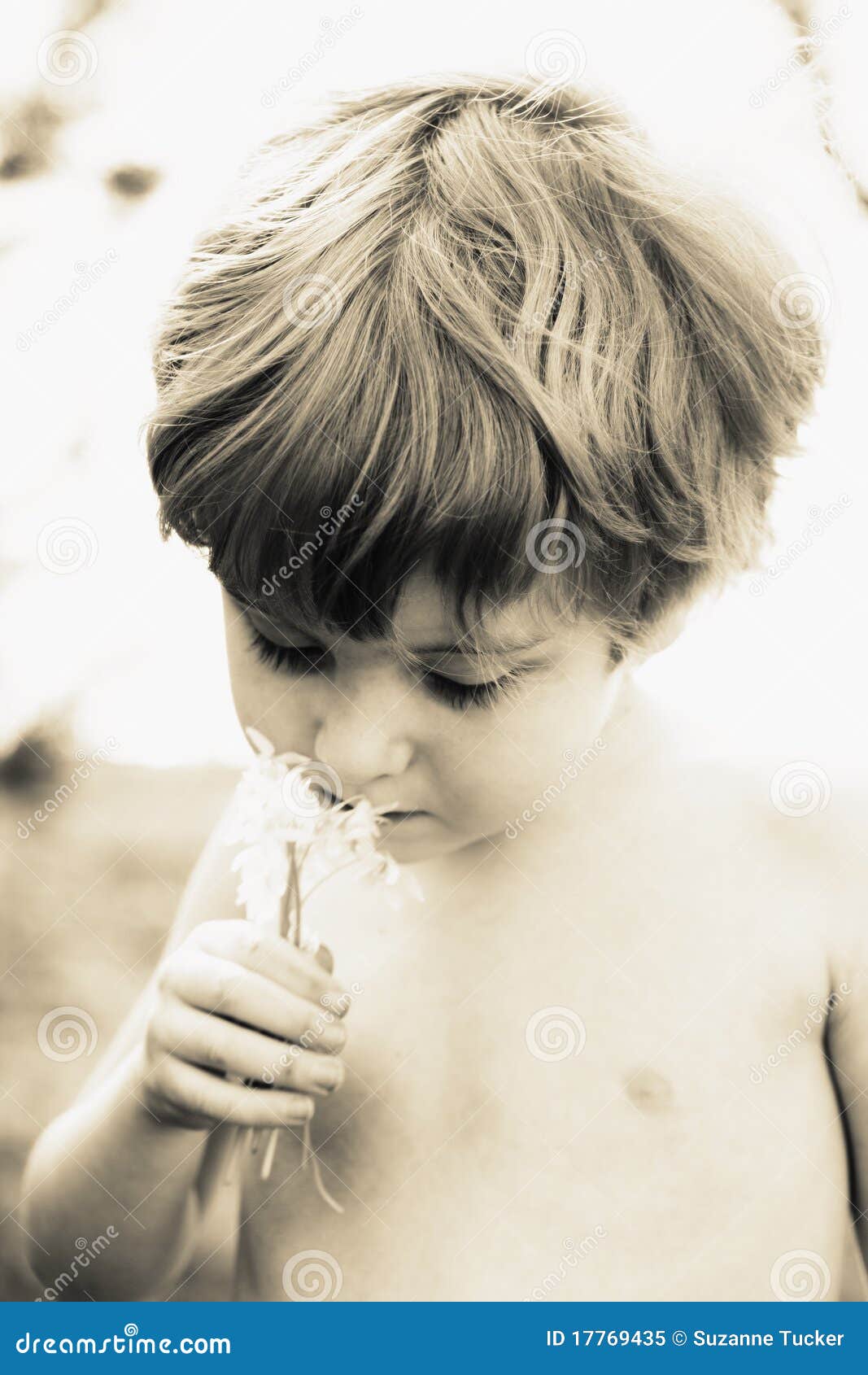 Boy smelling flowers stock image. Image of pretty, outdoors - 17769435