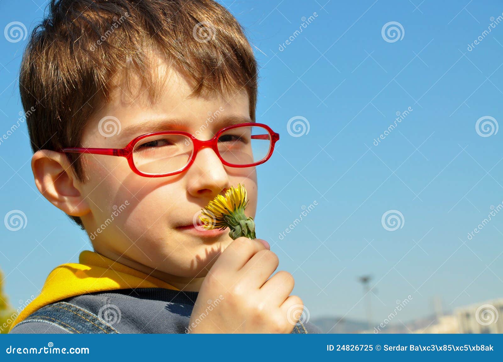Boy smelling flowers stock image. Image of blowing, flower - 24826725