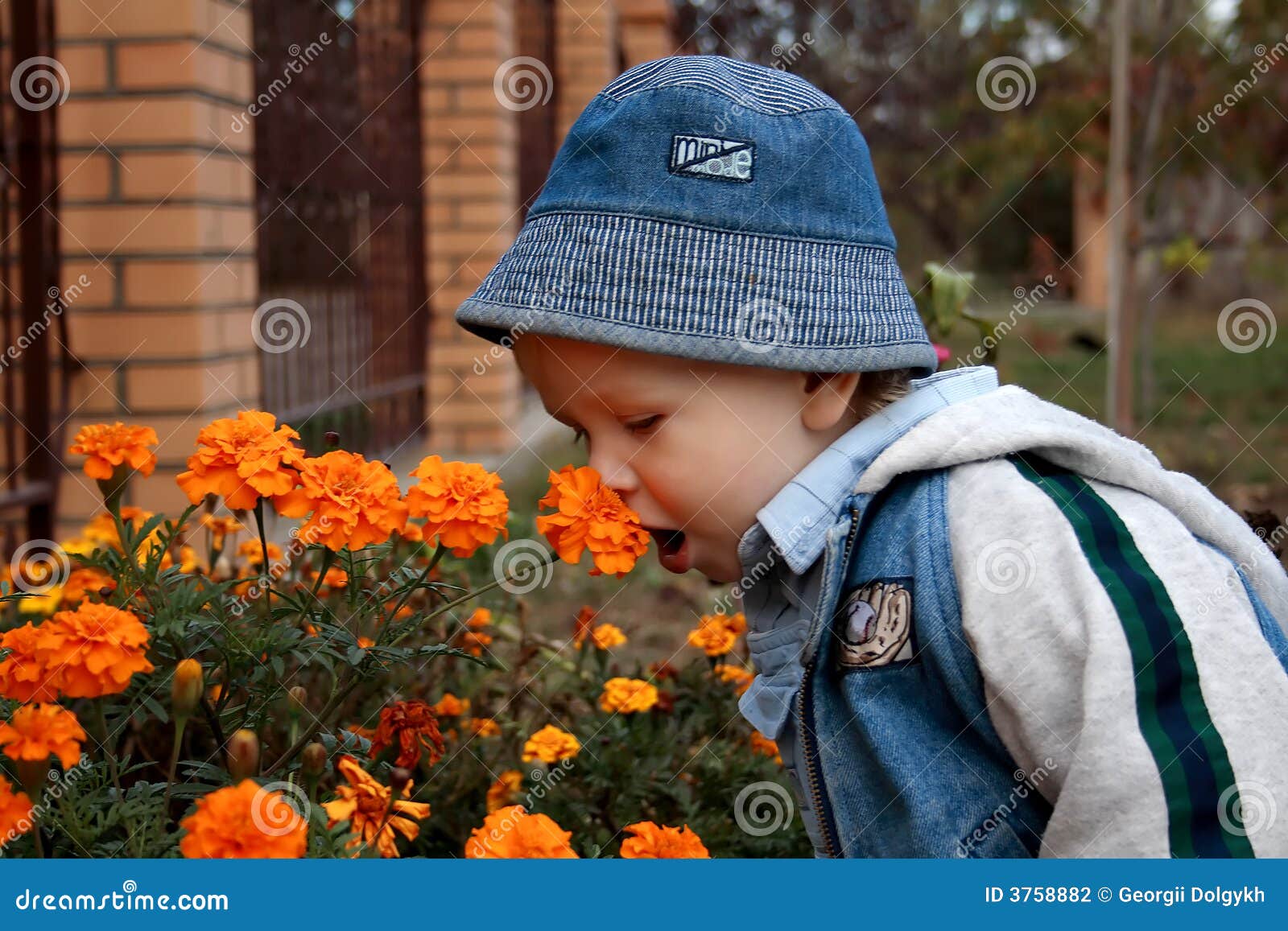 Boy smelling flowers stock photo. Image of innocence, beauty - 3758882