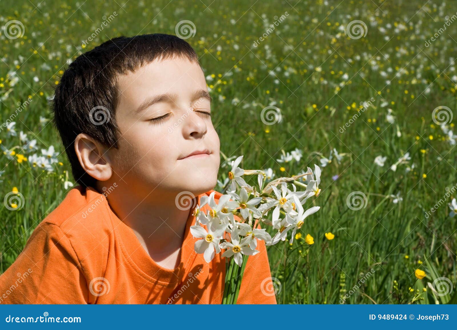 Boy smelling flowers stock photo. Image of face, human - 9489424