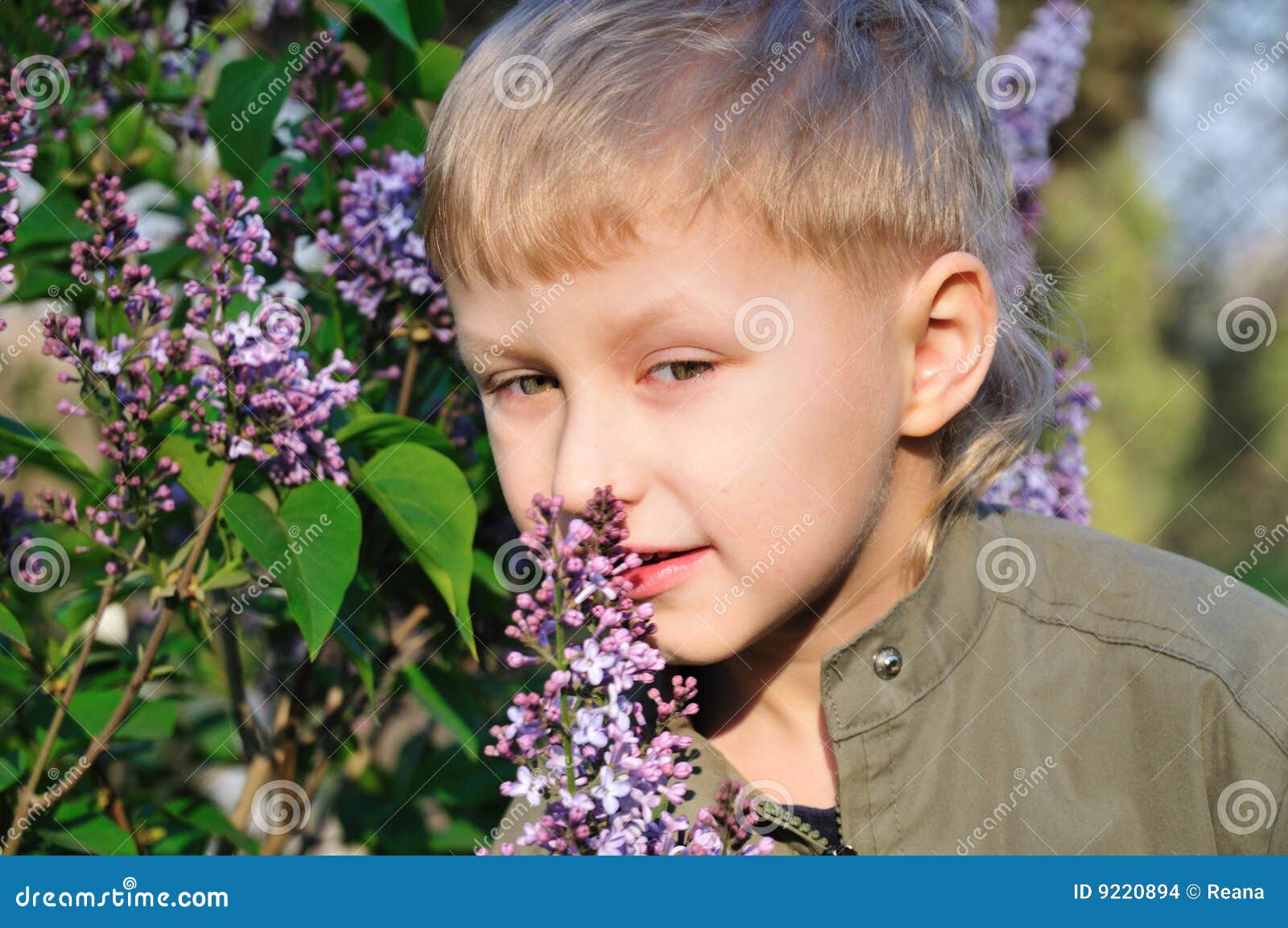 Boy is smelling a lilac stock photo. Image of flower, play - 9220894