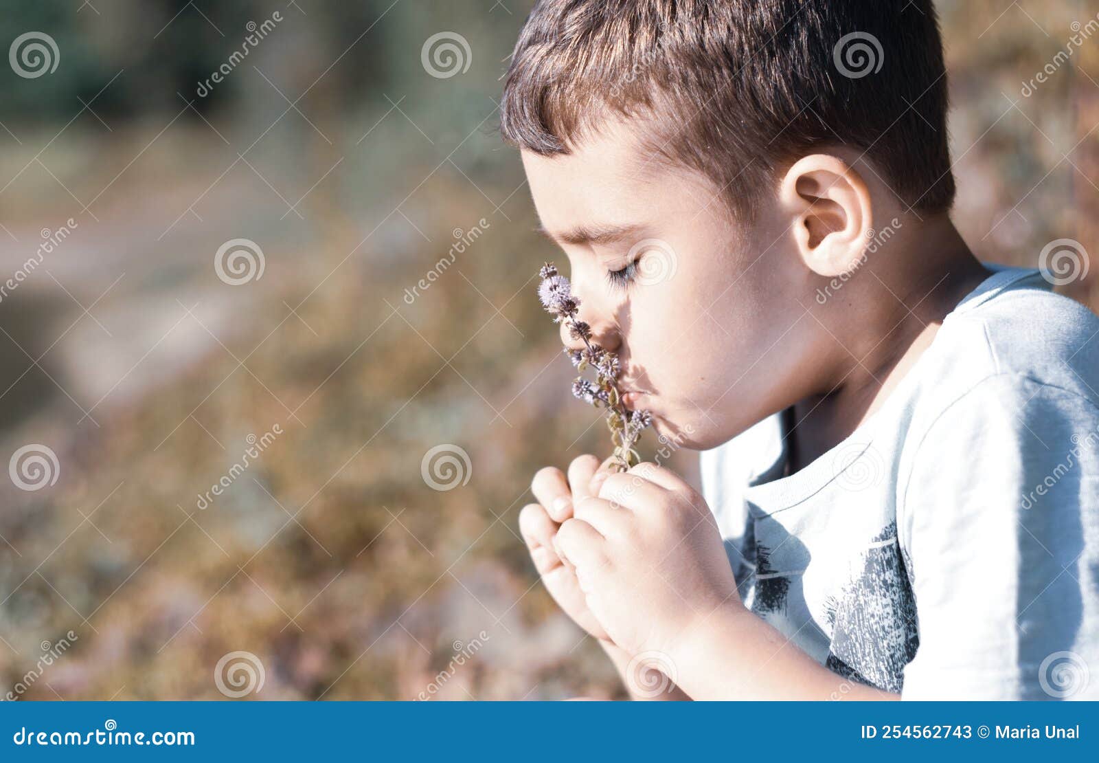 Boy Sniffs Peppermint Flower Stock Image - Image of eyes, summer: 254562743