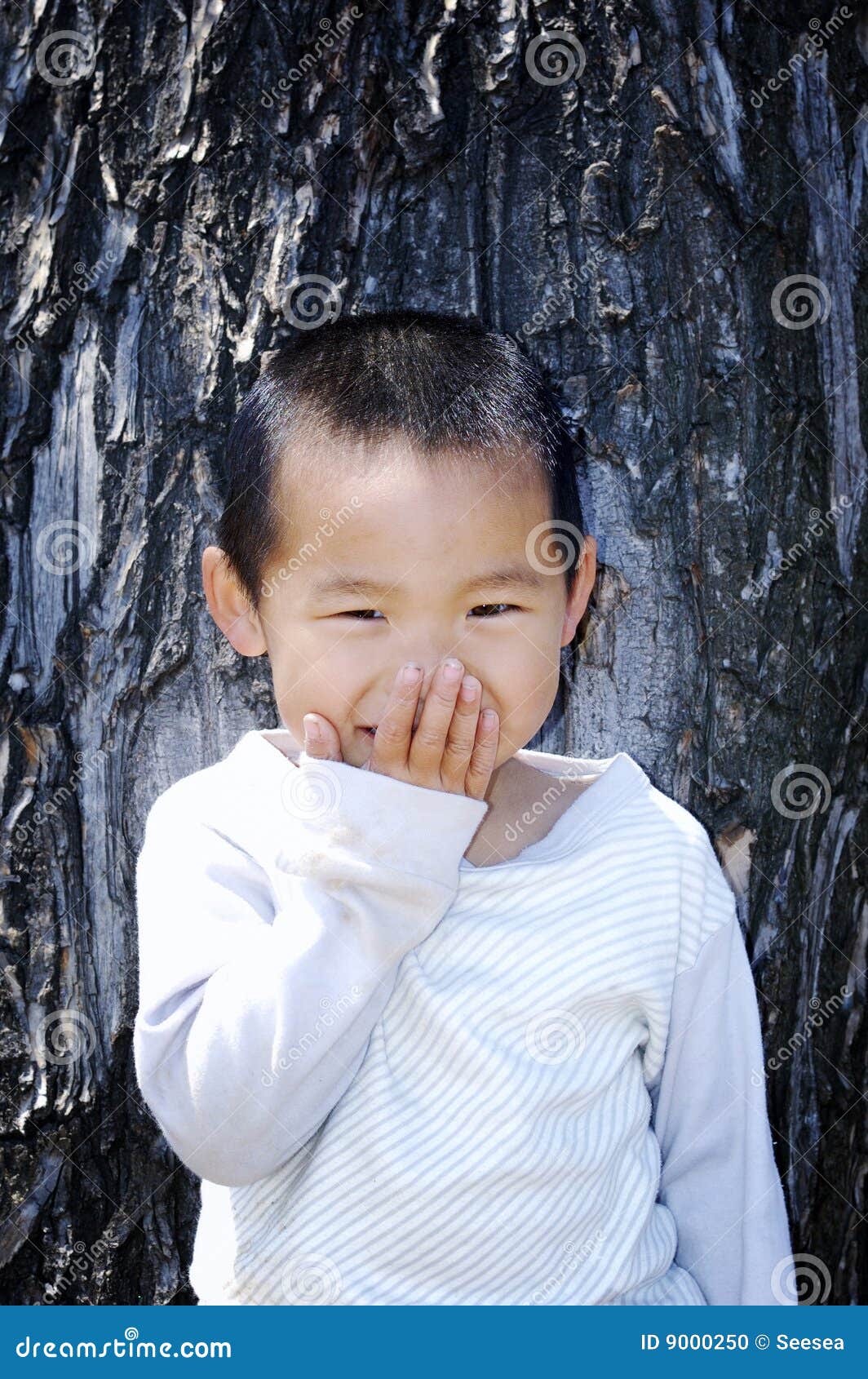 Boy smile stock photo. Image of spring, portrait, smile - 9000250