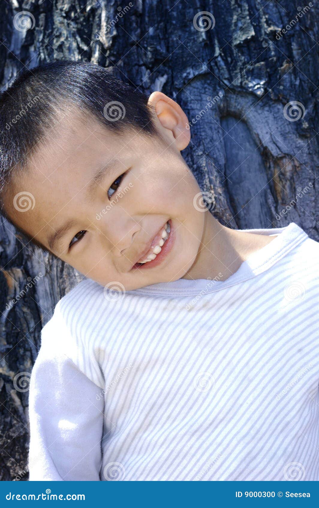Boy smile stock photo. Image of trunk, bole, young, people - 9000300