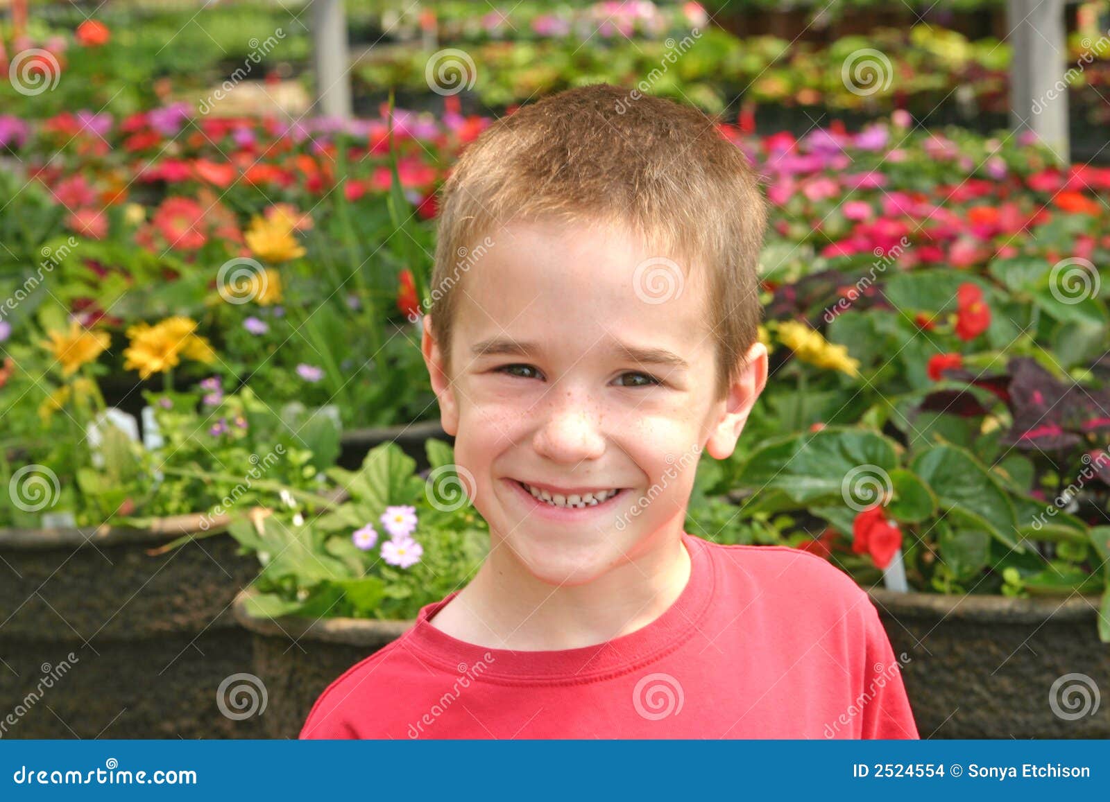 Boy Smiling Picture. Image: 2524554