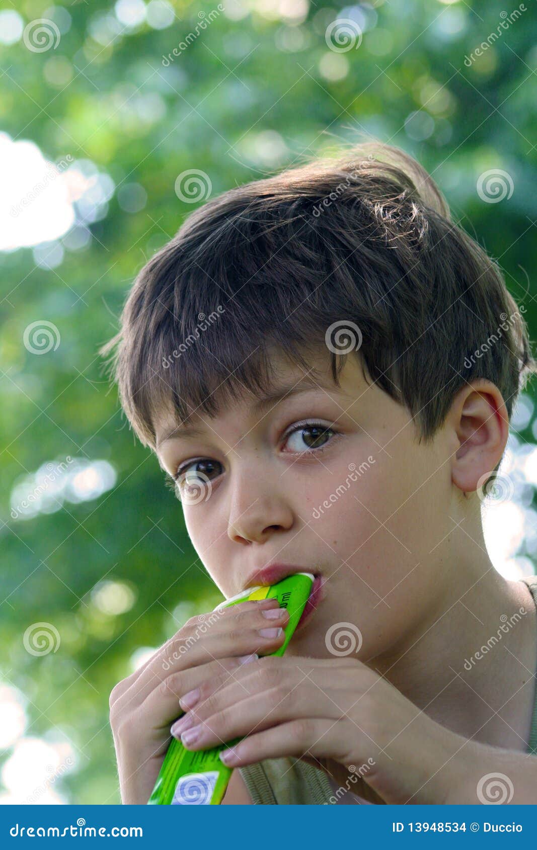 Boy with snack stock photo. Image of smiling, summer - 13948534