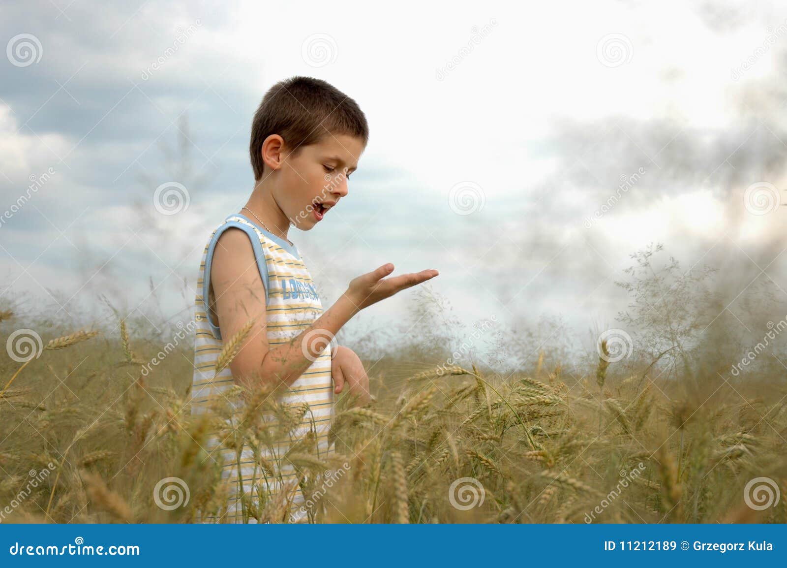 Boy with something in hand stock image. Image of wheat - 11212189