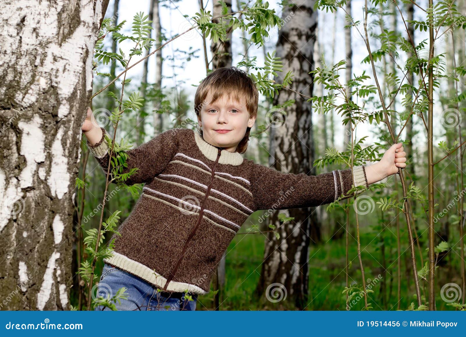 Boy in spring birch forest stock photo. Image of casual - 19514456