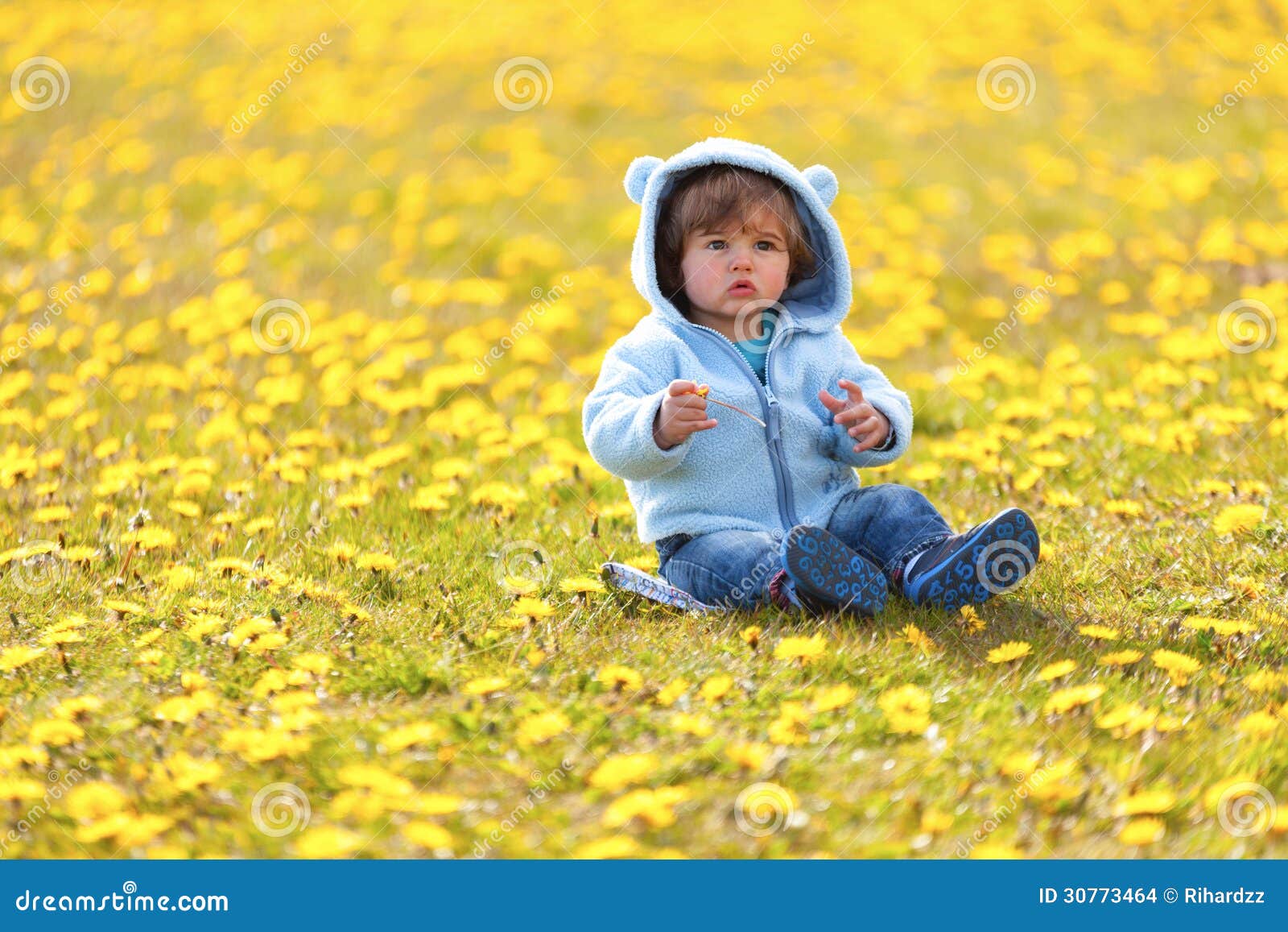 Boy in Spring Flowers Field Stock Photo - Image of cheerful, grin: 30773464