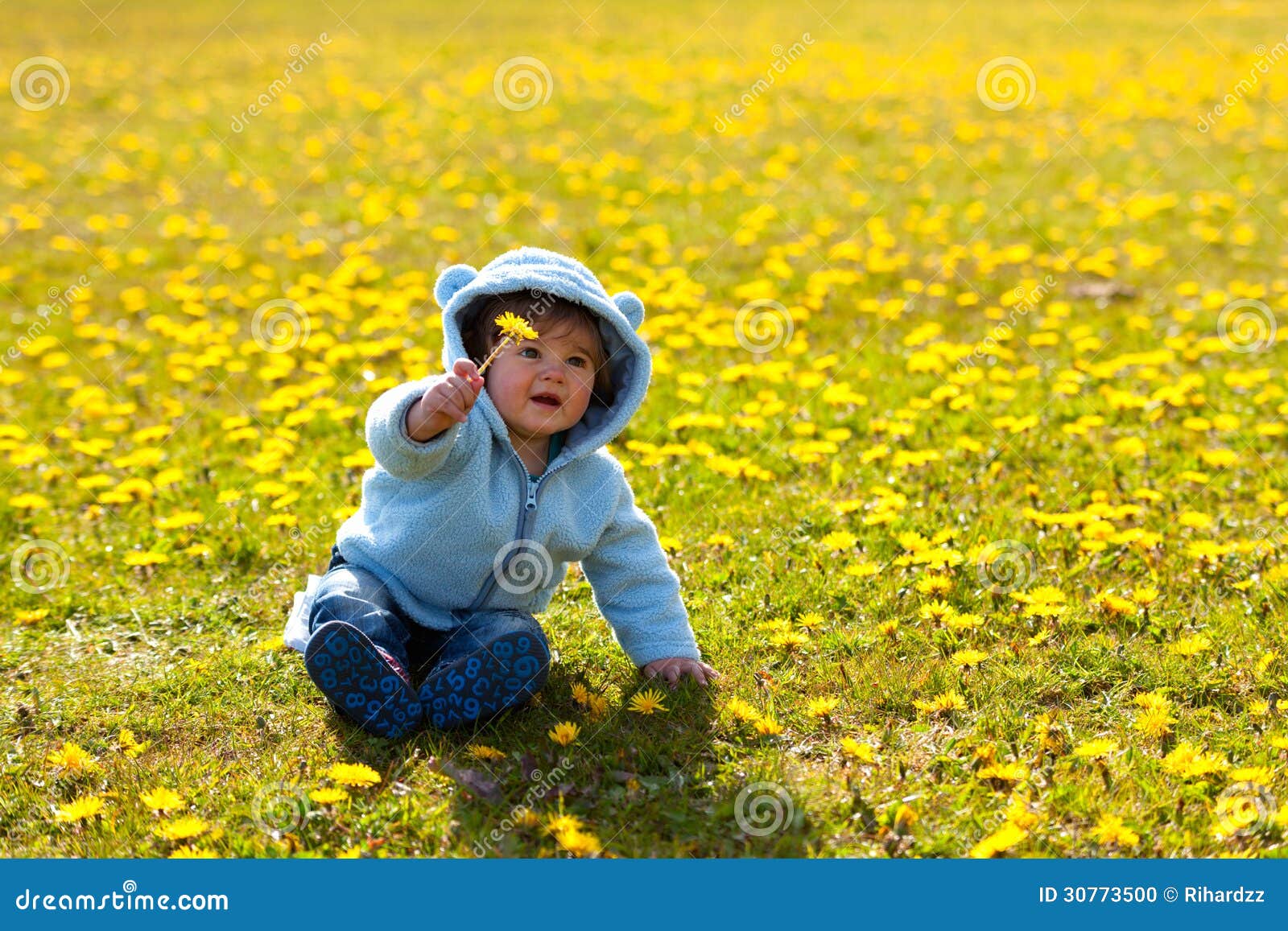 Boy in Spring Flowers Field Stock Photo - Image of infant, leaf: 30773500