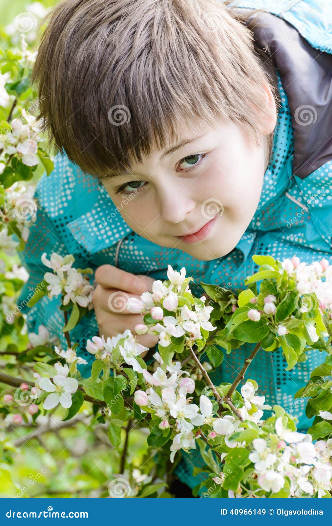 Boy in spring garden stock image. Image of apple, garden - 40966149