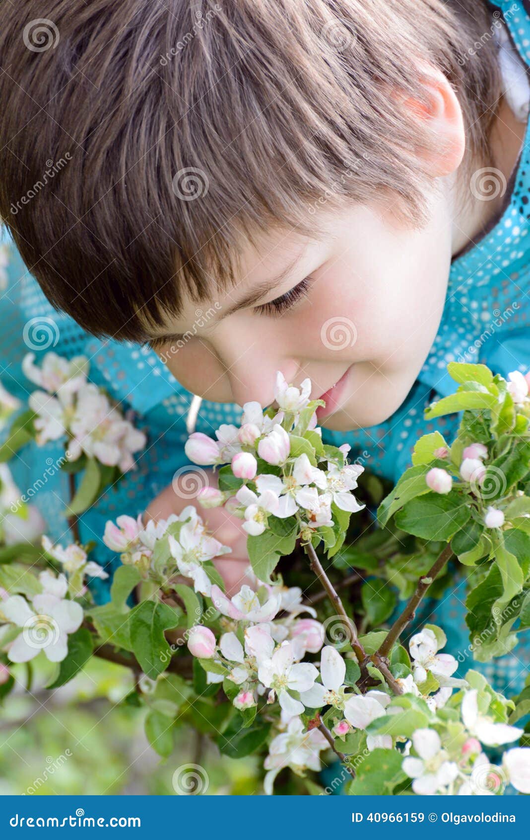 Boy in spring garden stock image. Image of blooming, vacation - 40966159