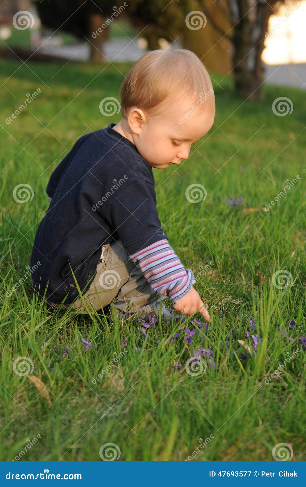 Boy on spring meadow stock image. Image of sitting, nature - 47693577