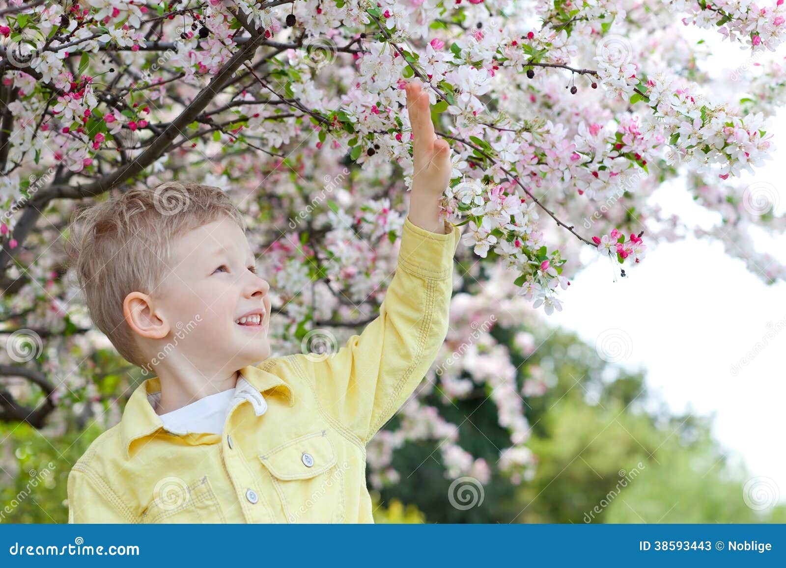 Boy at spring time stock image. Image of lifestyle, bright - 38593443