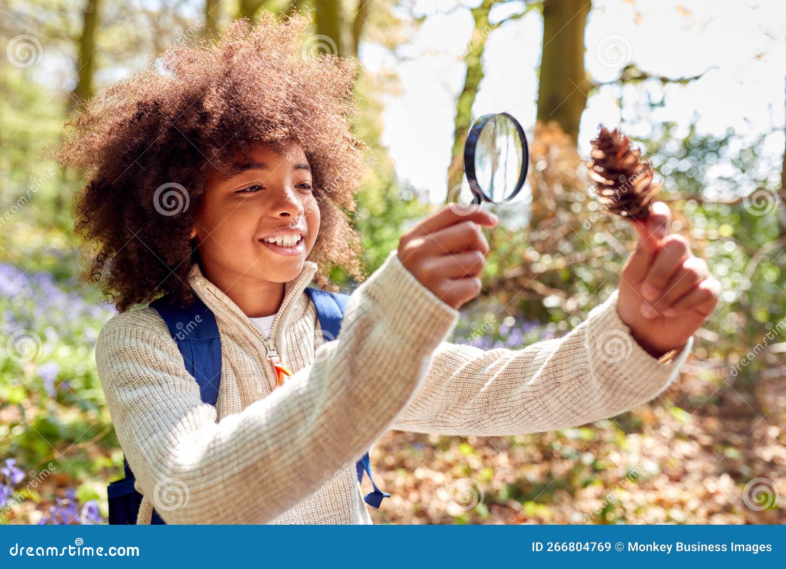 Boy in Spring Woodlands Examining Pine Cone with Magnifying Glass Stock ...