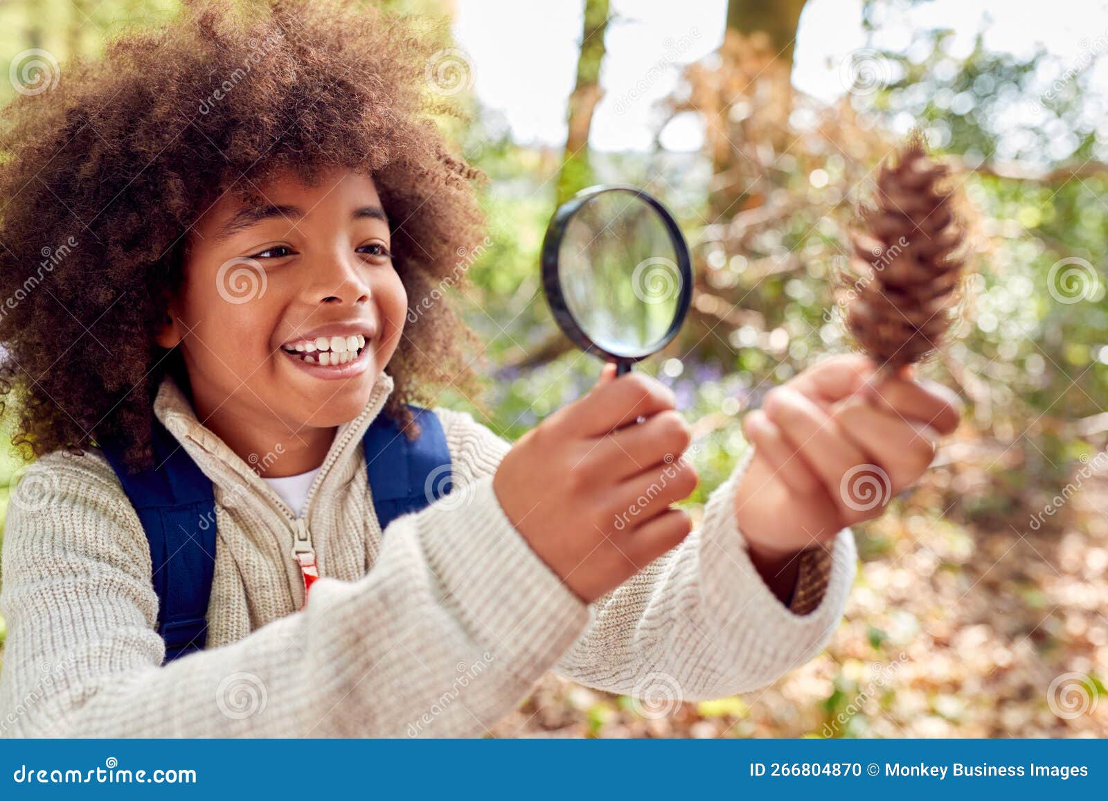 Boy in Spring Woodlands Examining Pine Cone with Magnifying Glass Stock ...