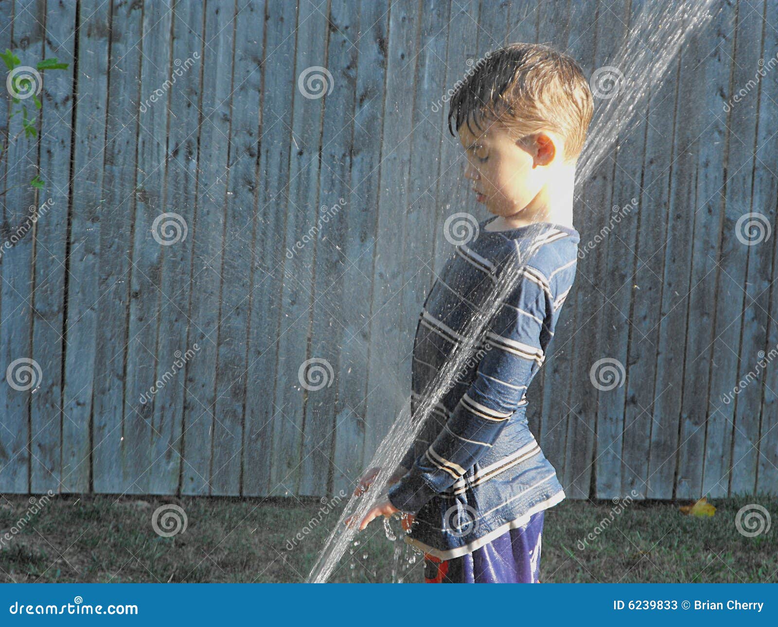 Boy in the Sprinkler stock image. Image of youthful, fence - 6239833