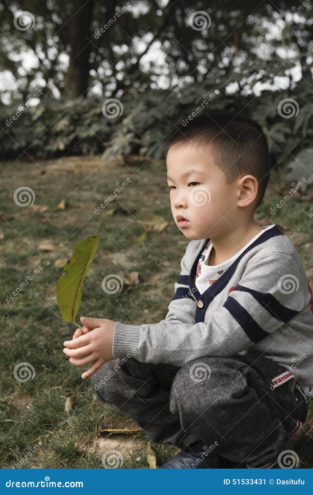 Boy squat stock image. Image of asia, peaceful, jungle - 51533431