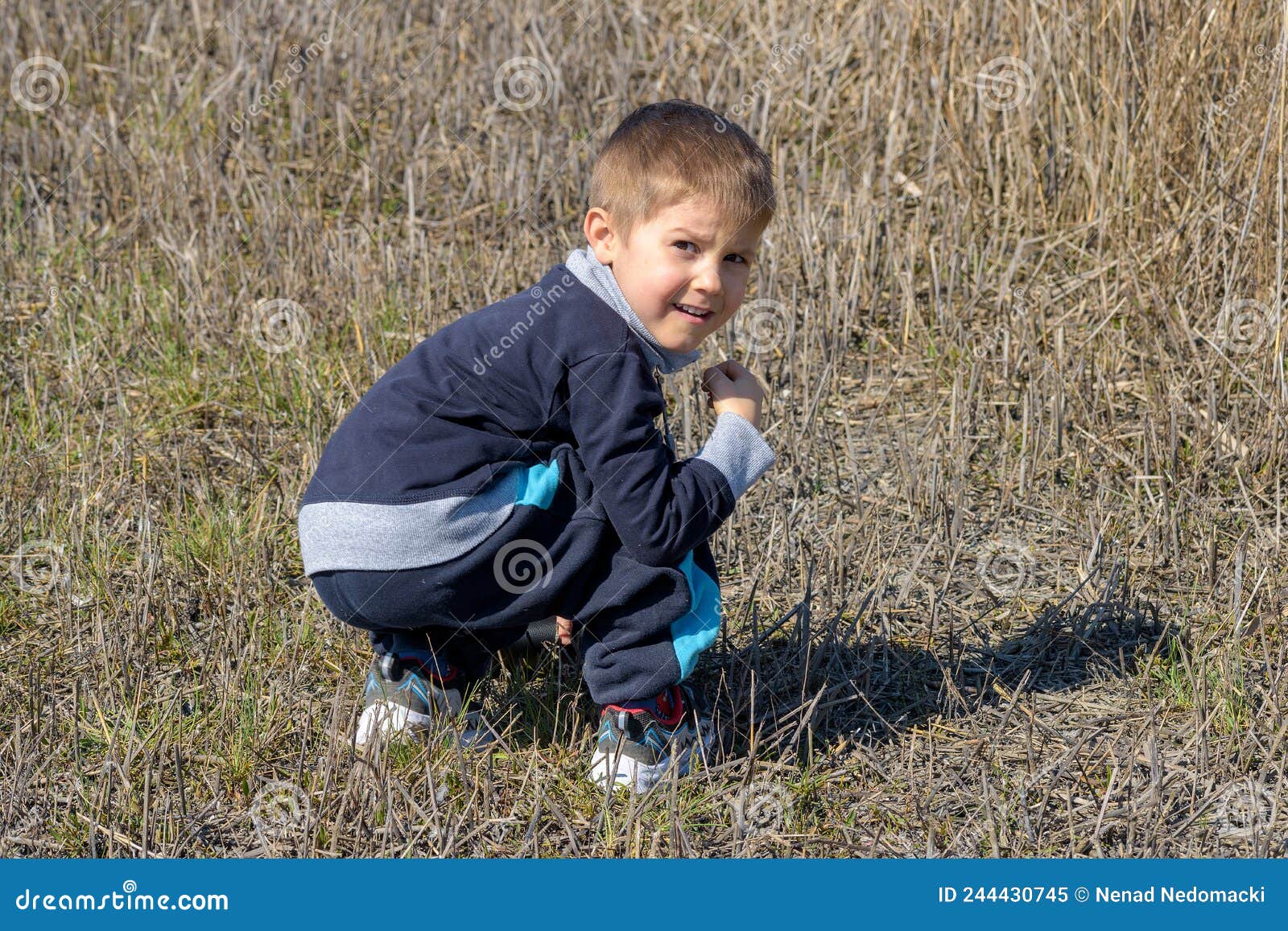 The Boy is Squatting in the Field Stock Image - Image of farm ...