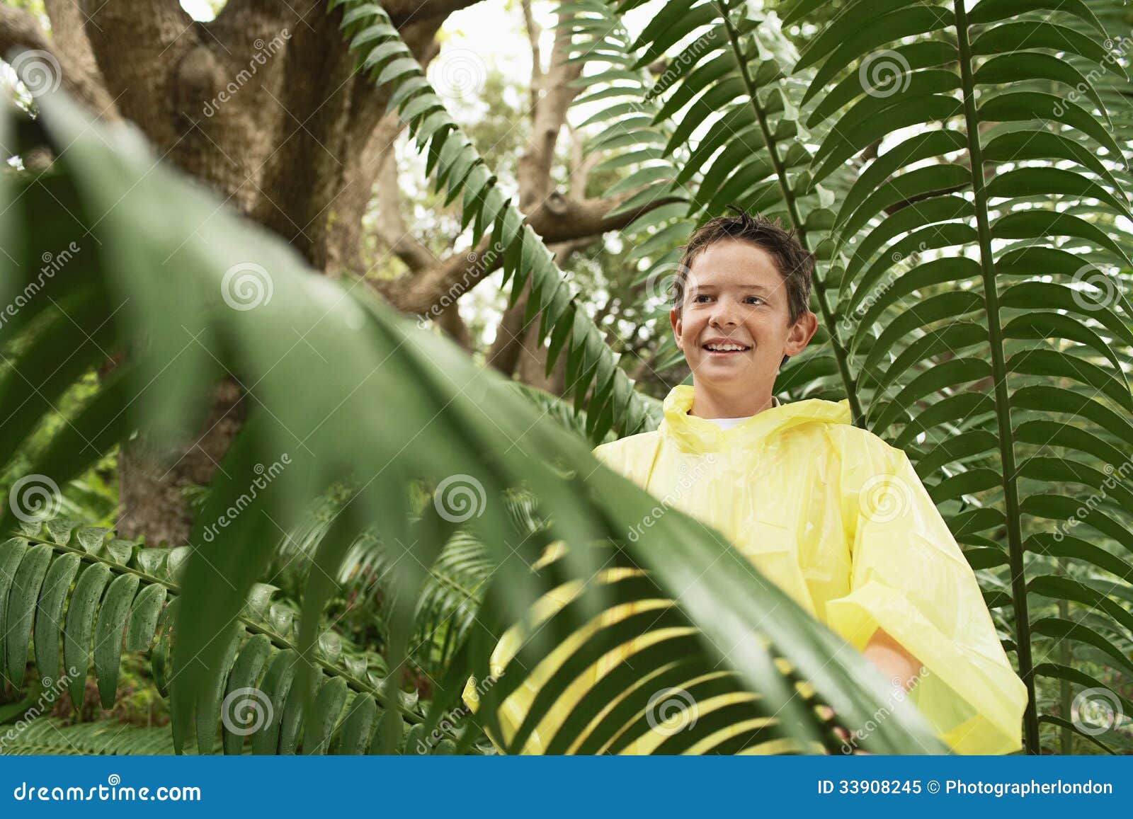 Boy Standing by Large Fern in Forest Stock Image - Image of discover ...