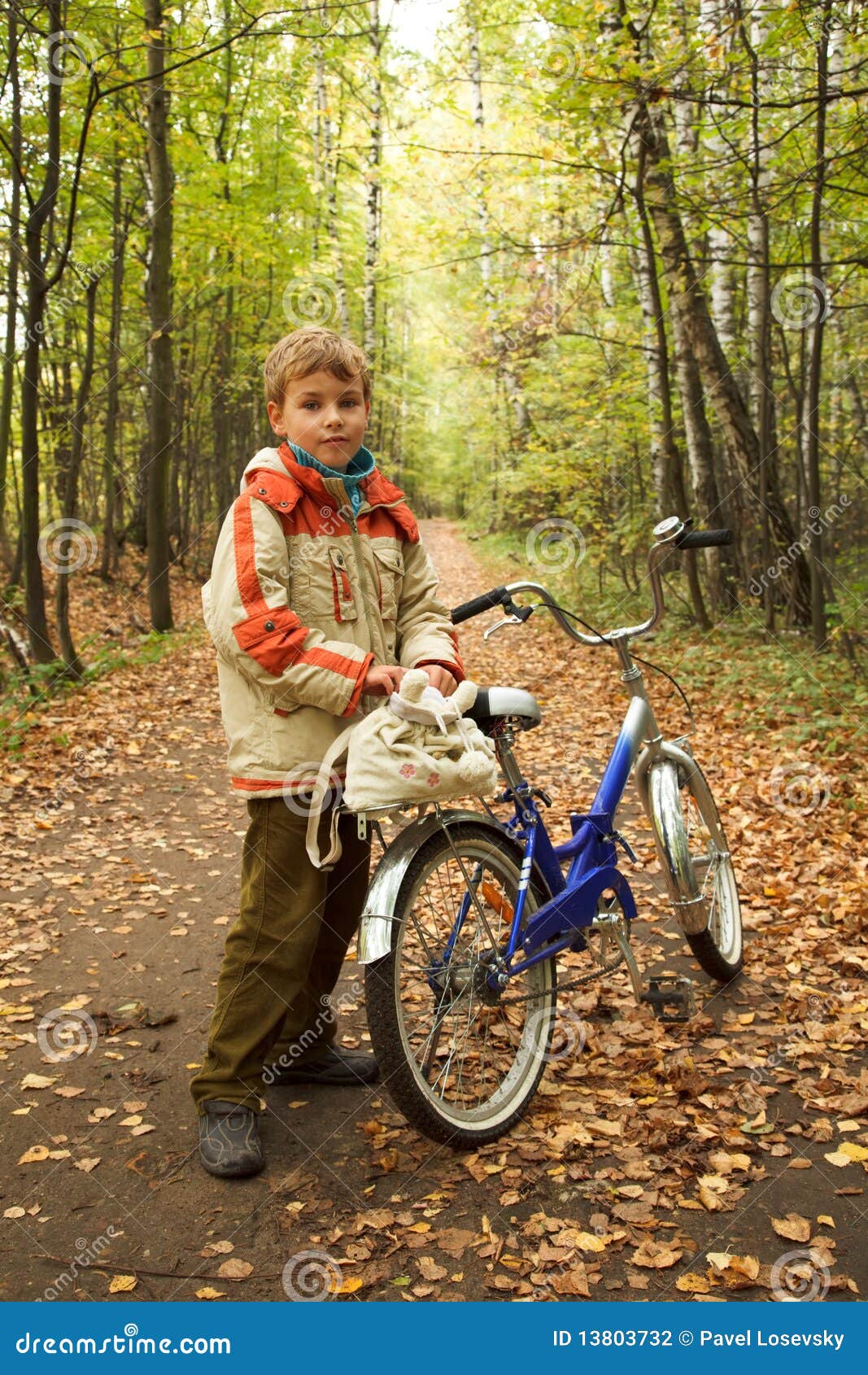 Boy Standing Next To Bicycle in Autumn Park Stock Photo - Image of ...