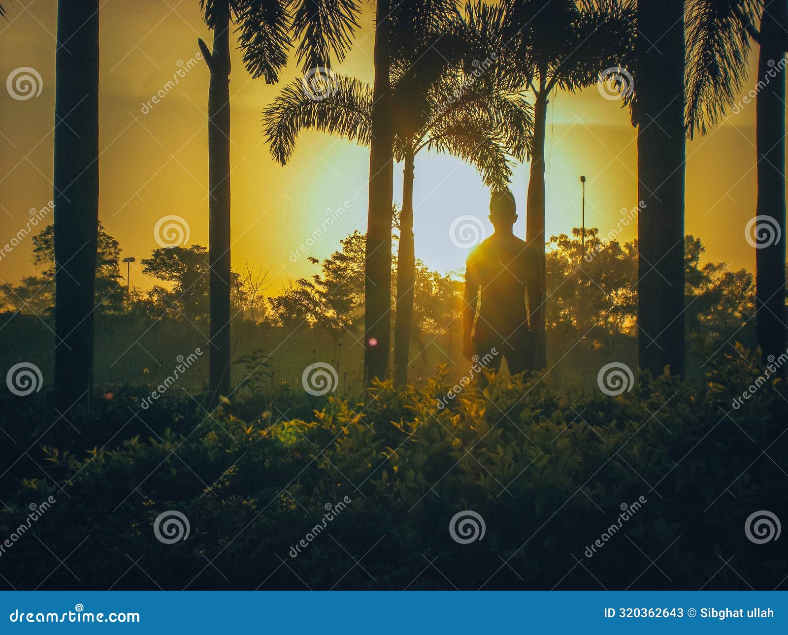 A Boy is Standing in a Park during Sunset Stock Image - Image of ...