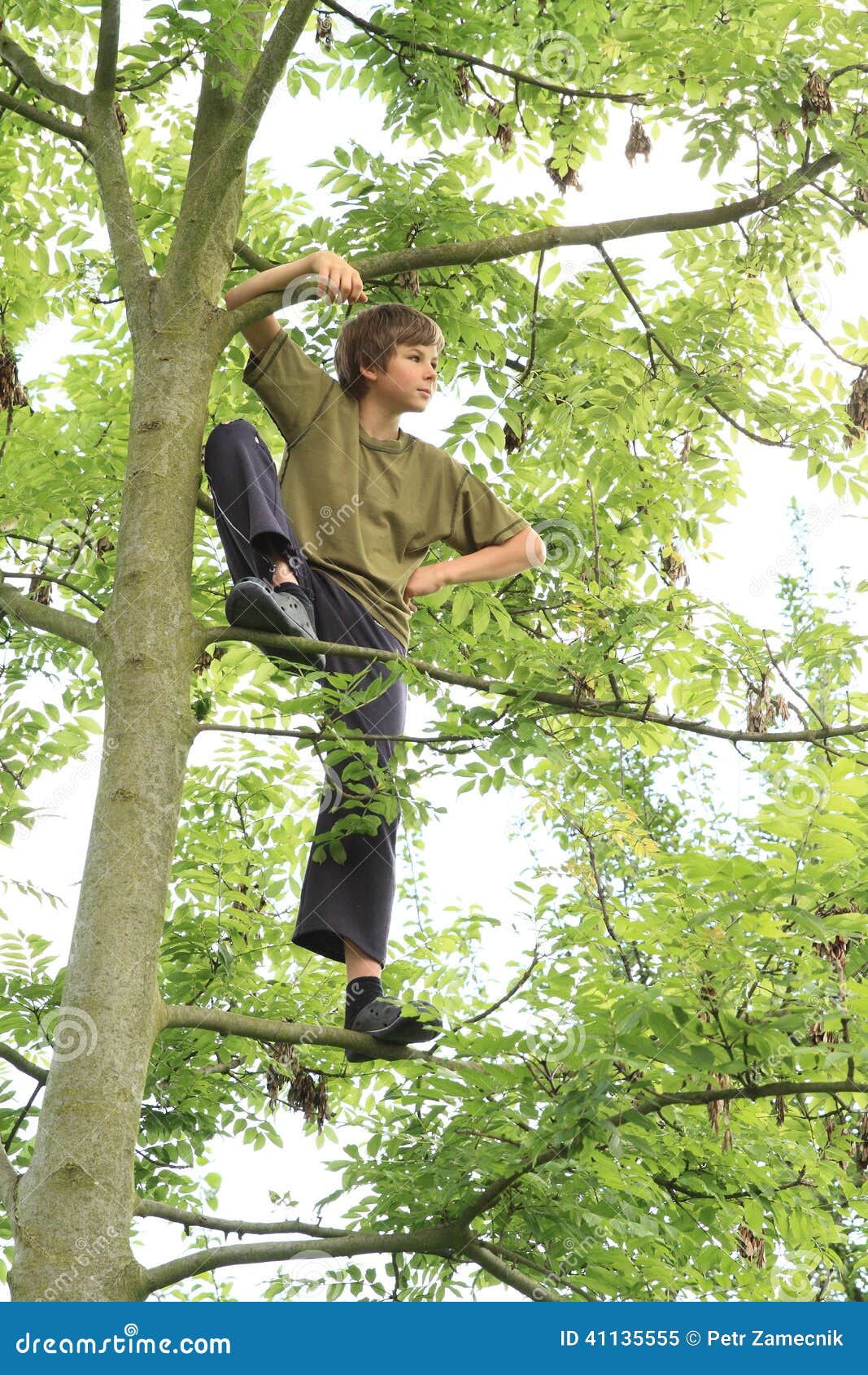 Boy standing on the tree stock image. Image of portrait - 41135555