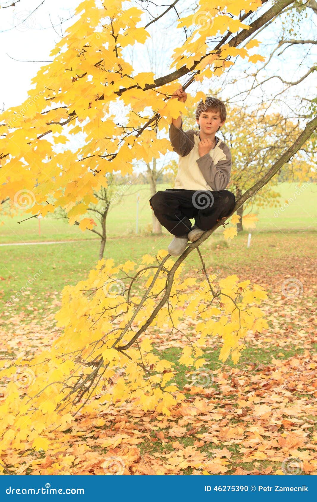 Boy standing on the tree stock photo. Image of watch - 46275390